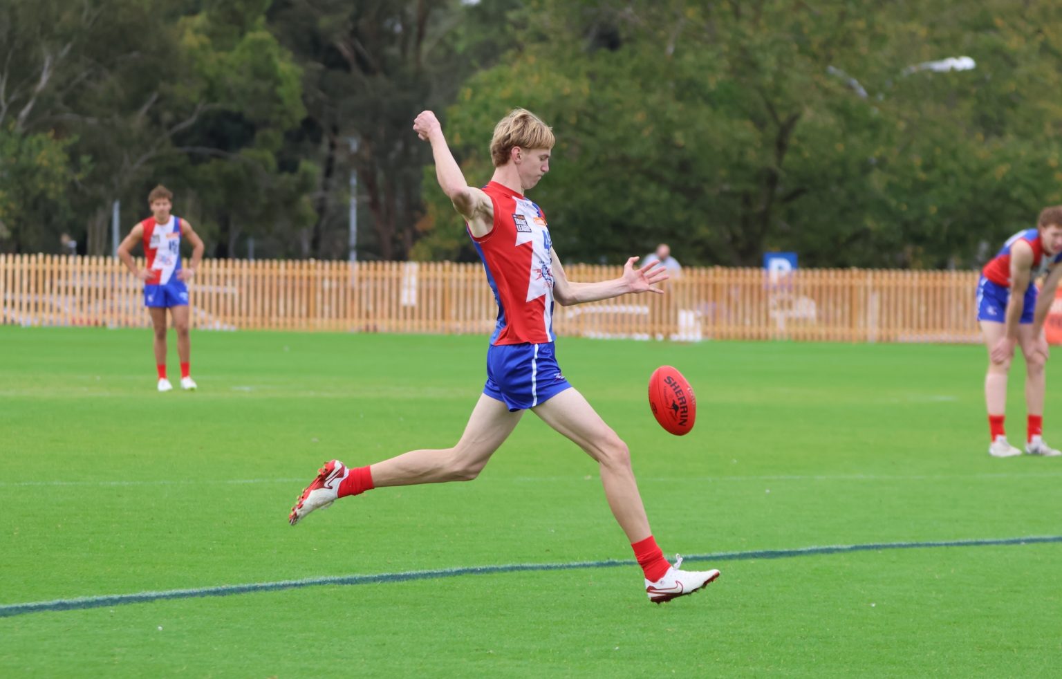 Scouting Notes: Lions roar, Knights checkmate Suns - Aussie Rules ...